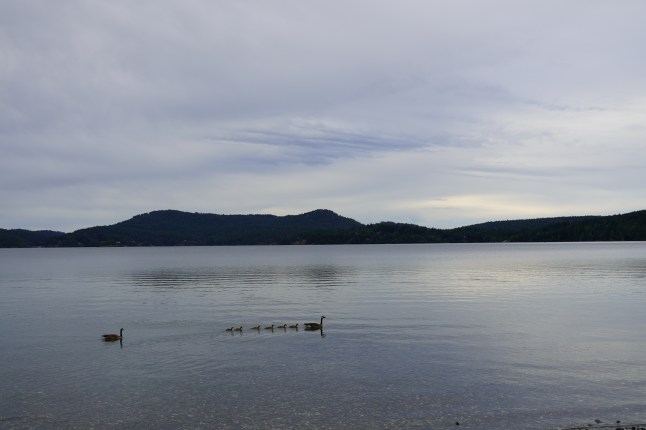 the basin – and the clouds came back – austerity101