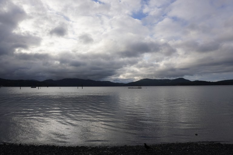 the basin – yes, another cloudy day – it keeps the grass greener ...