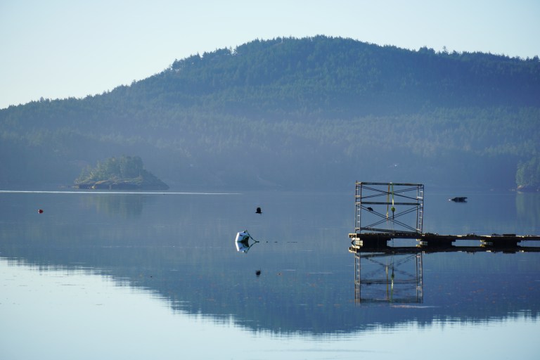 the basin – happy Saturday – austerity101